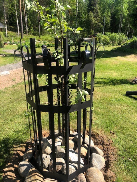 Puun runkosuoja Iso - peltinetti.fi